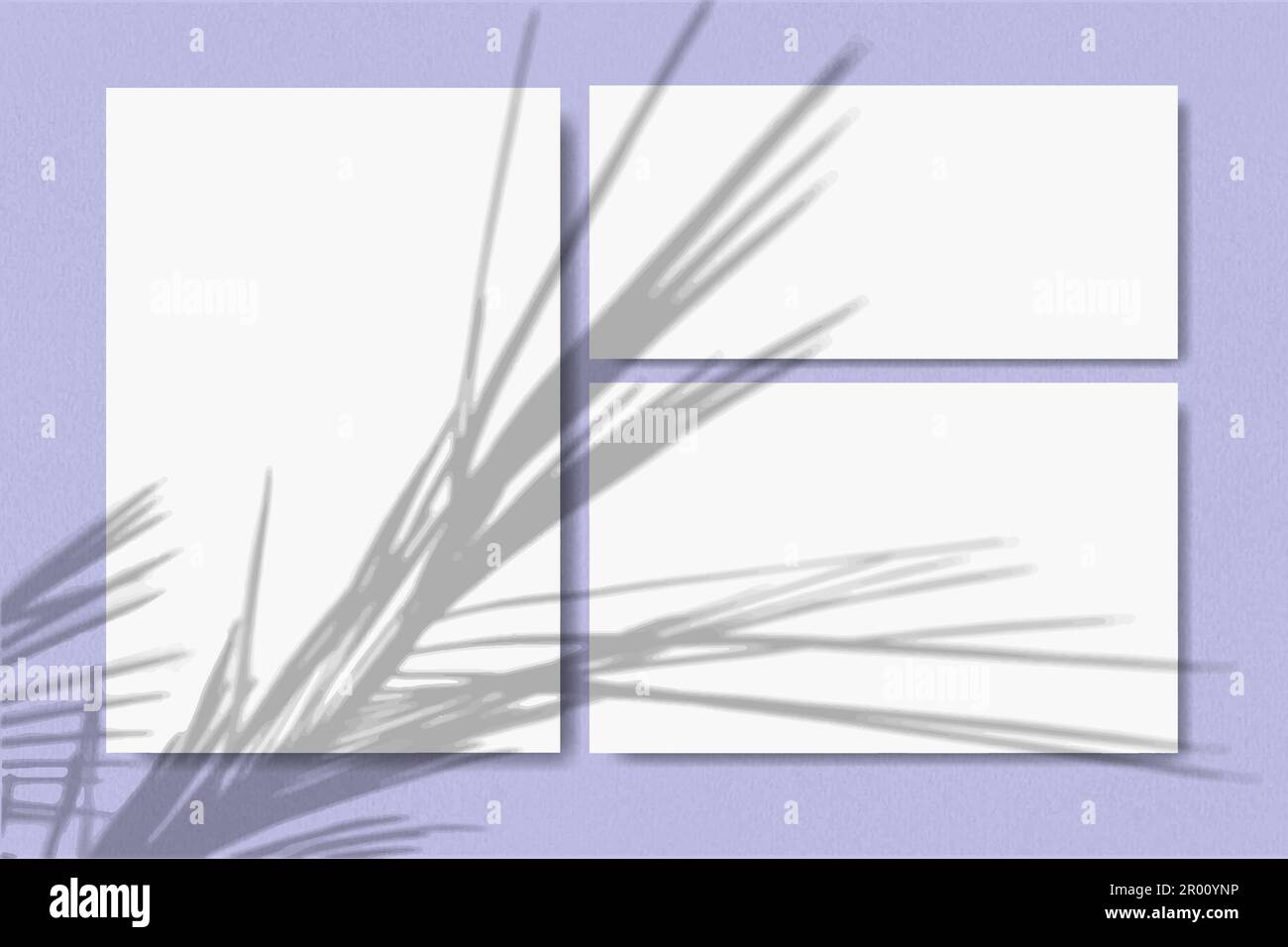 Natural light, palm branches cast shadows on horizontal and vertical ...