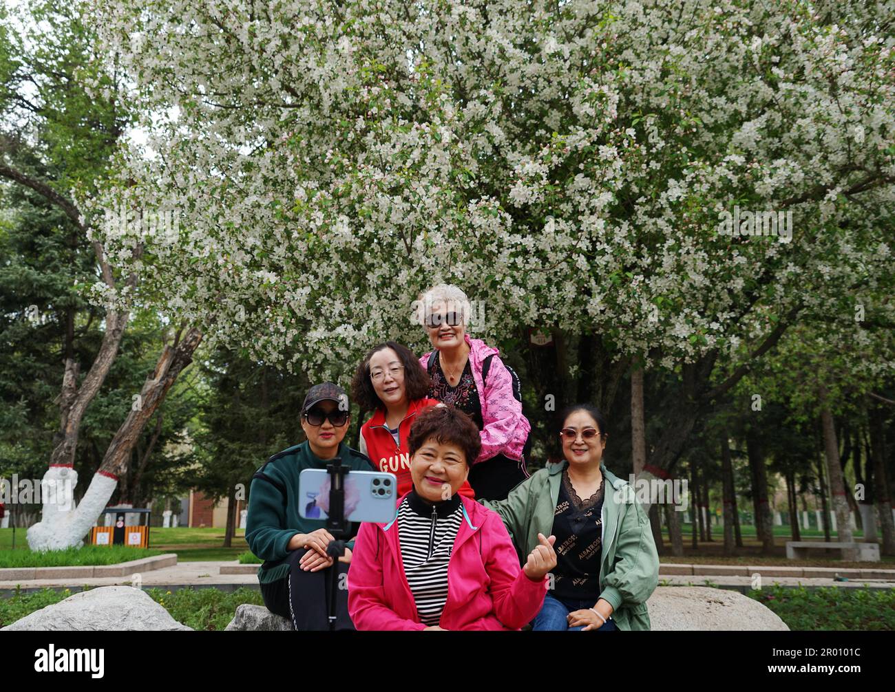 **CHINESE MAINLAND, HONG KONG, MACAU AND TAIWAN OUT** Begonia flowers ...