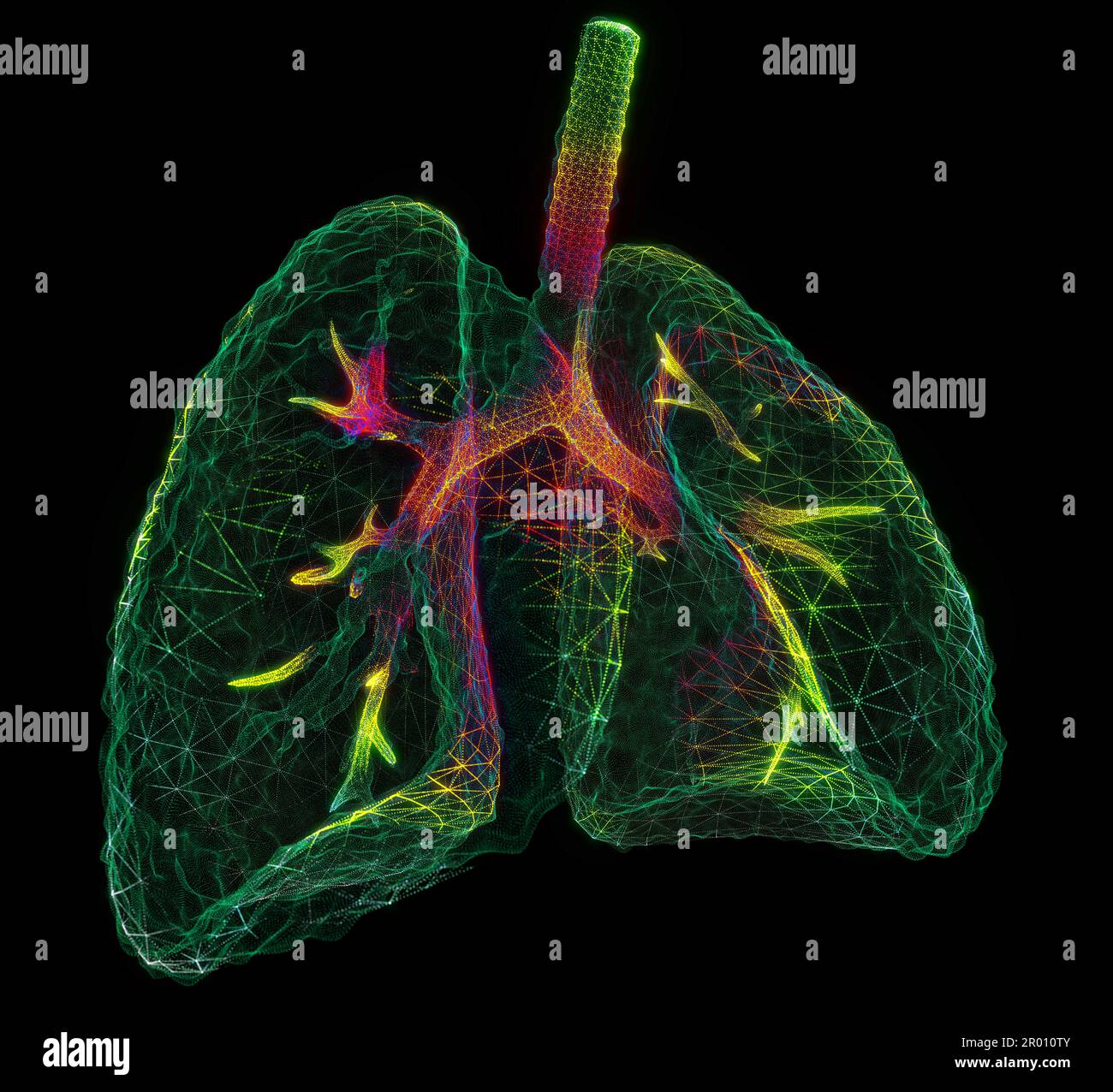 Human Lungs. 3d lungs on body background. Human health, respiratory ...