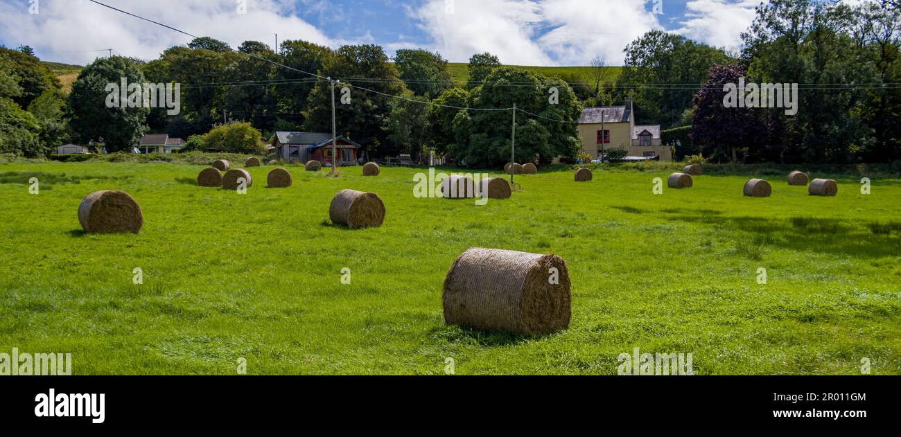 Roll of hays in the field hi-res stock photography and images - Alamy