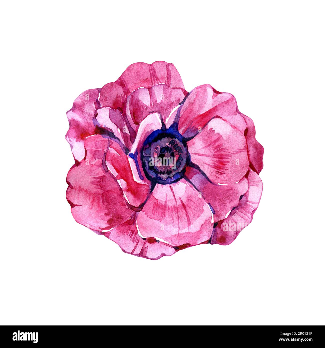 Hand painted floral elements set. Watercolor botanical illustration of ...