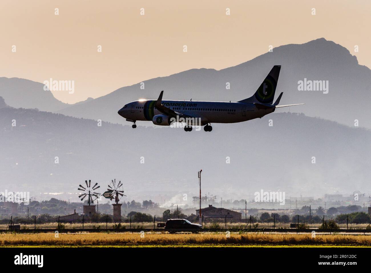 Estructura hierba hi-res stock photography and images - Alamy