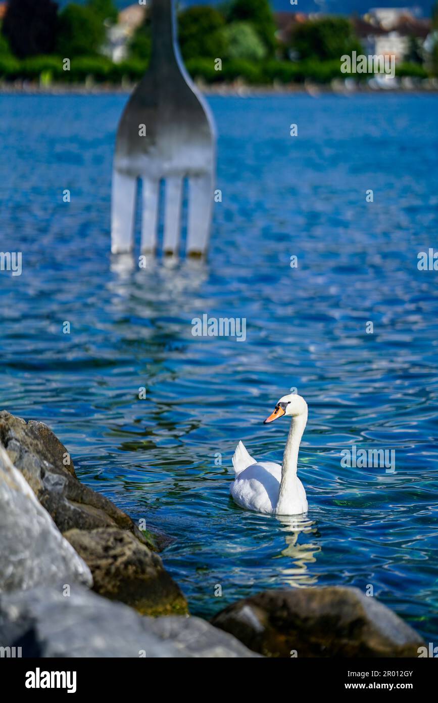 View from vevey hi-res stock photography and images - Alamy