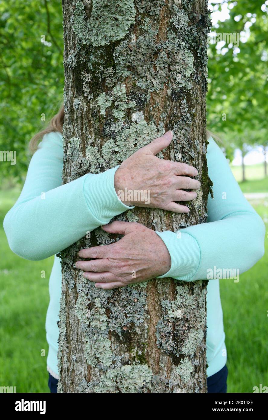 A senior lady hugging a tree in the French countryside Stock Photo - Alamy