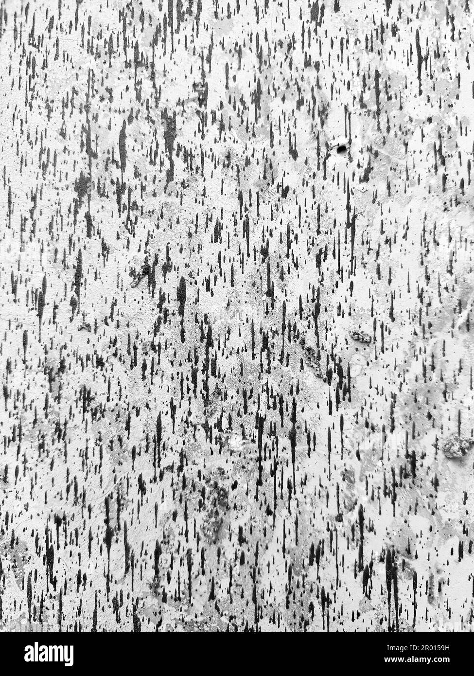 Sea shell pattern Black and White Stock Photos & Images - Alamy