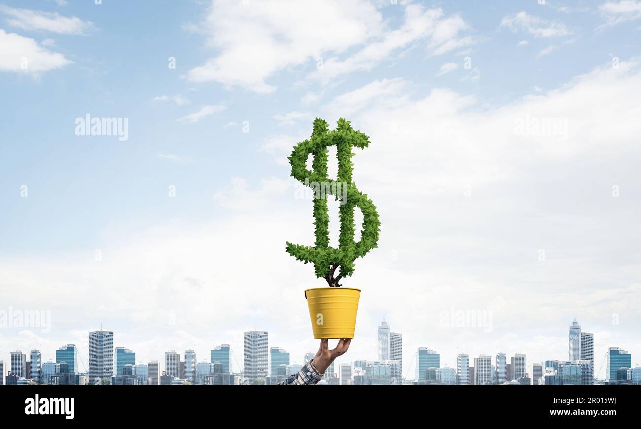 Green plant in shape of dollar sign grows Stock Photo - Alamy