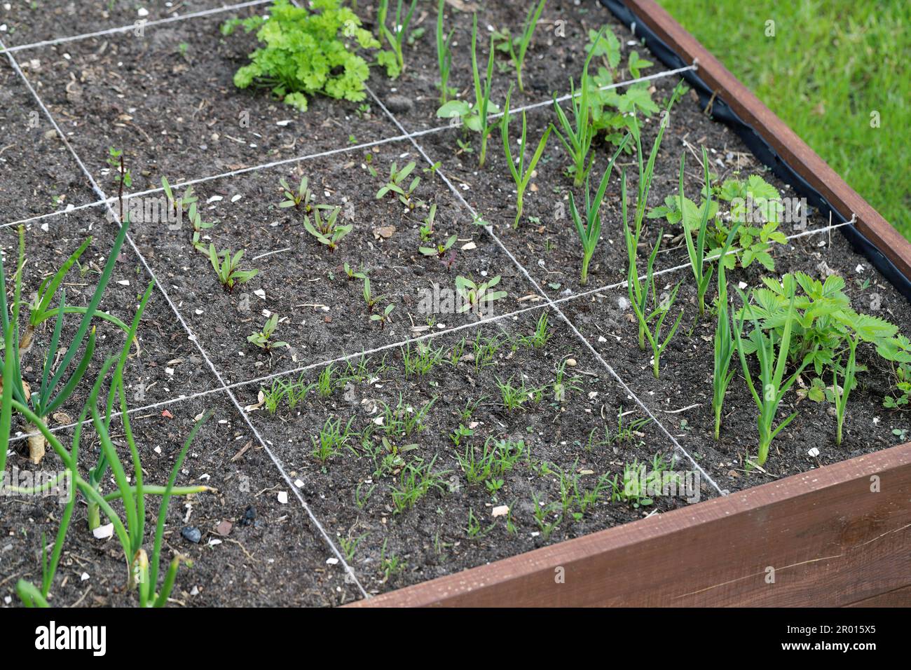 A modern vegetable garden with raised bricks beds. Raised beds ...