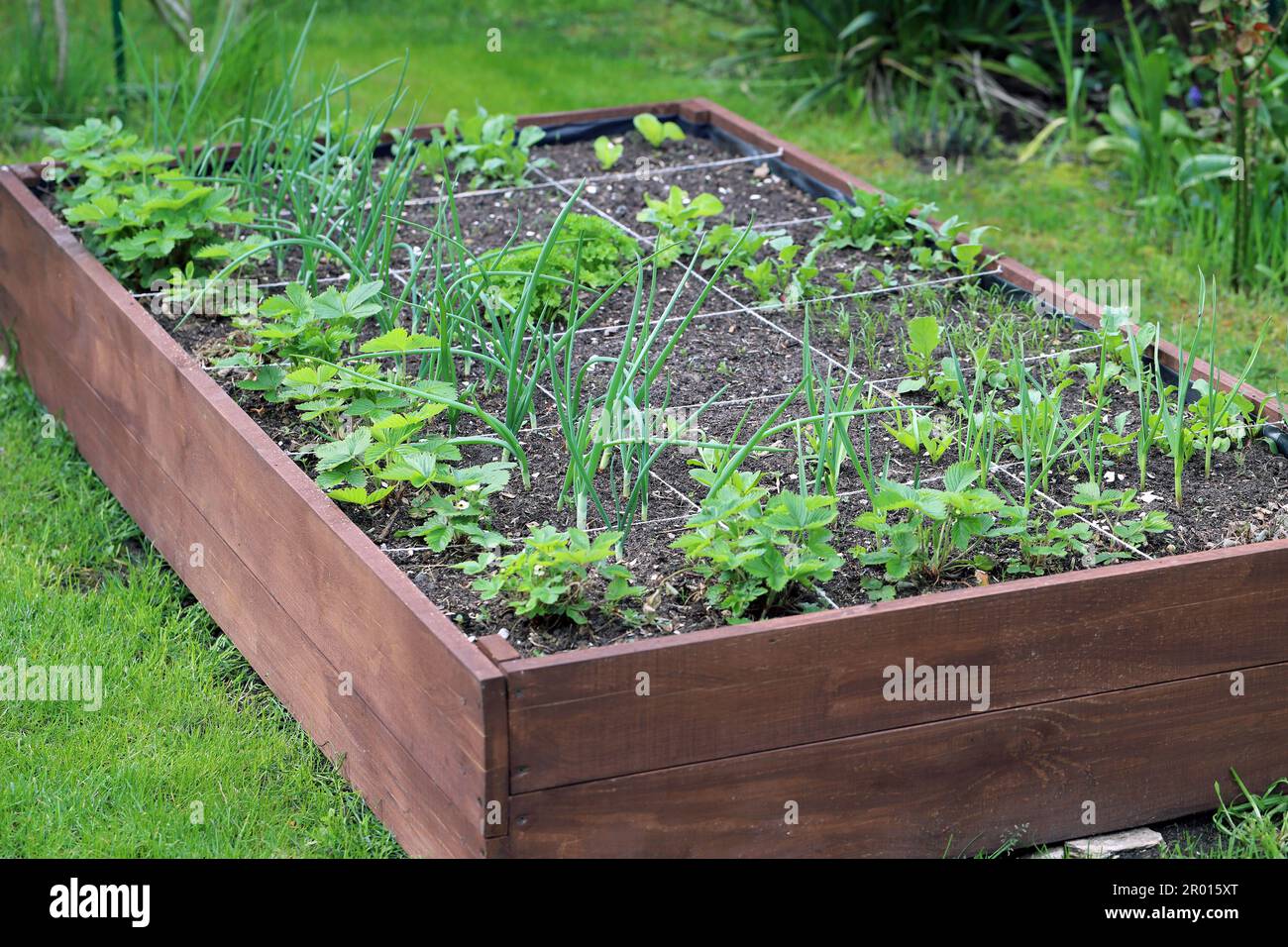 A modern vegetable garden with raised bricks beds. Raised beds ...