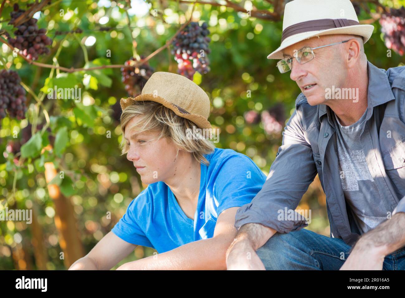 Two generations of vintners outdoor together Stock Photo - Alamy