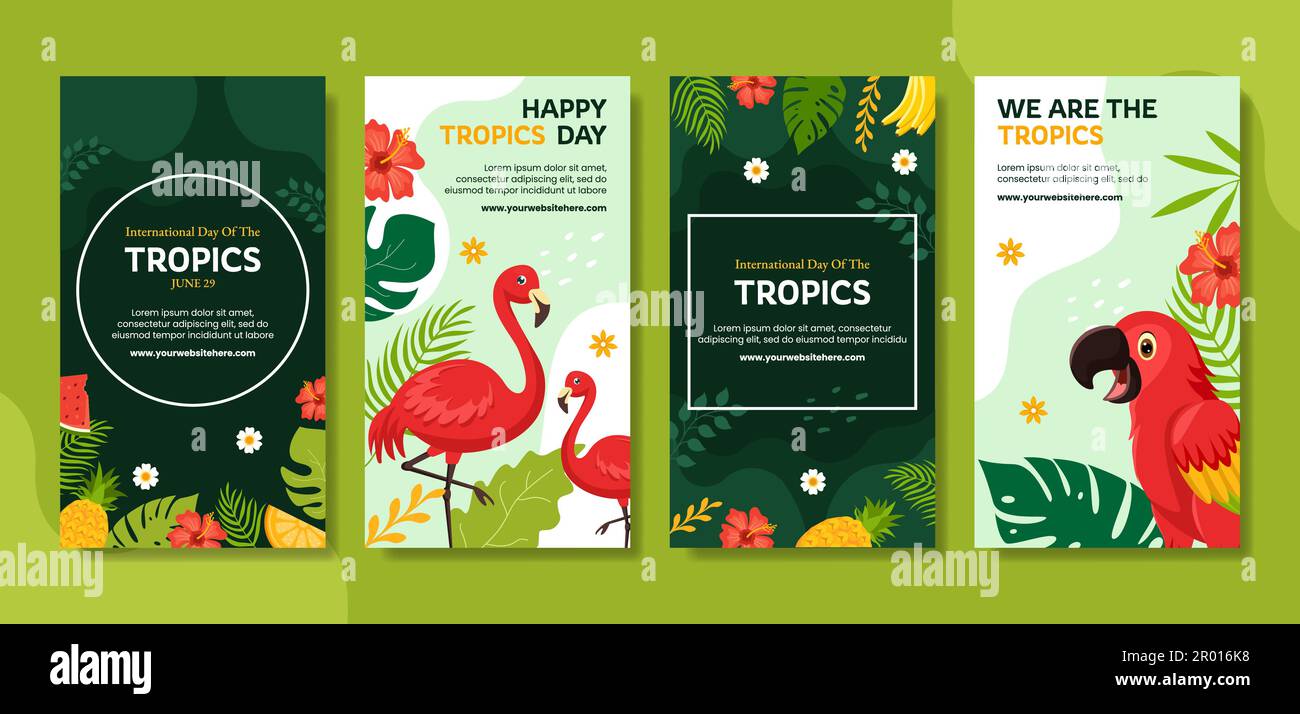 International Day of the Tropic Celebration Social Media Stories Flat ...