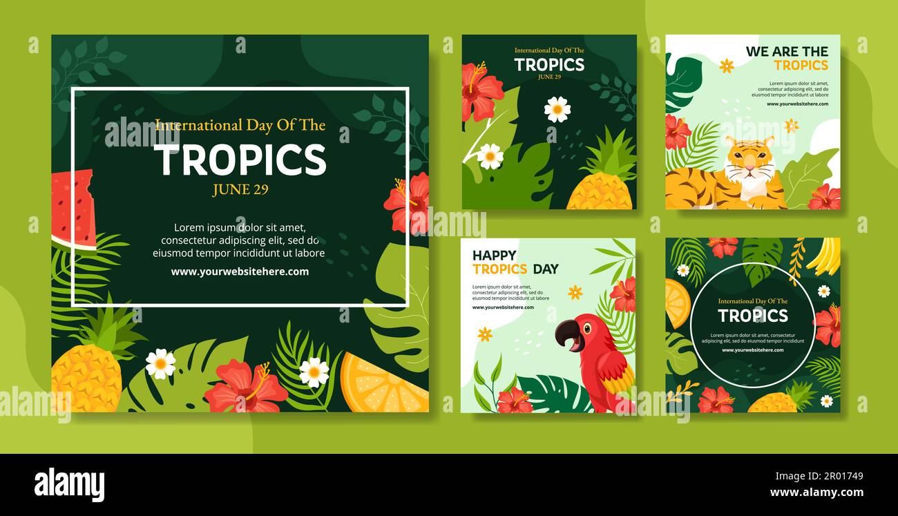 International Day of the Tropic Social Media Post Flat Cartoon Hand ...