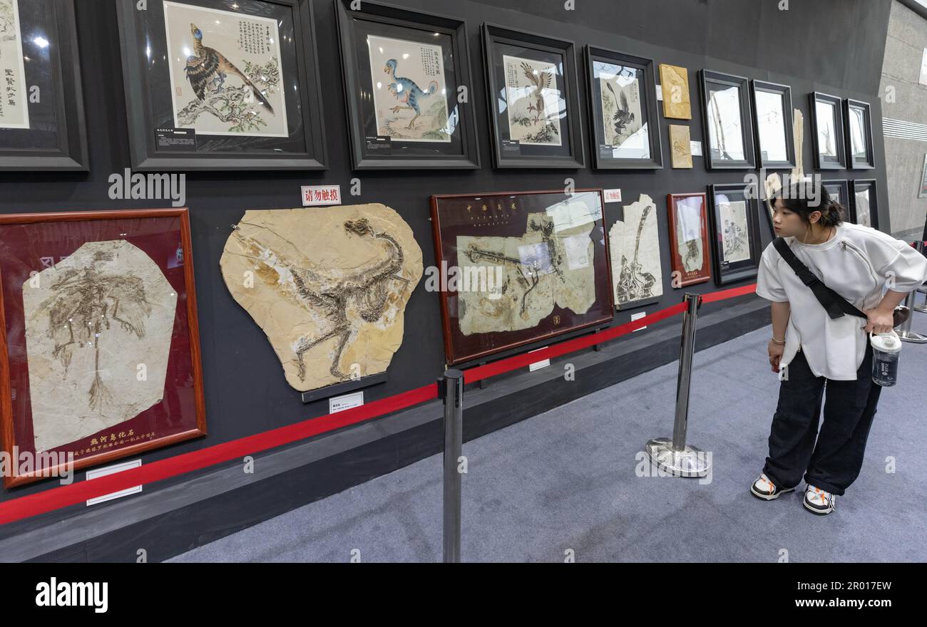 **CHINESE MAINLAND, HONG KONG, MACAU AND TAIWAN OUT** The 2023 China ...