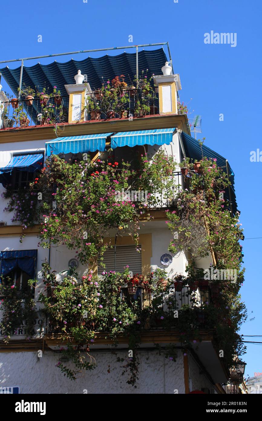 spanish house with flowers Stock Photo - Alamy