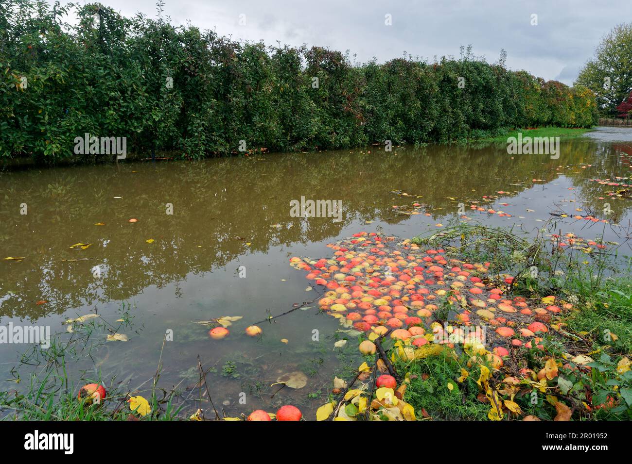 Motueka, Tasman Region / Aotearoa / New Zealand - May 6, 2023: Flooded ...