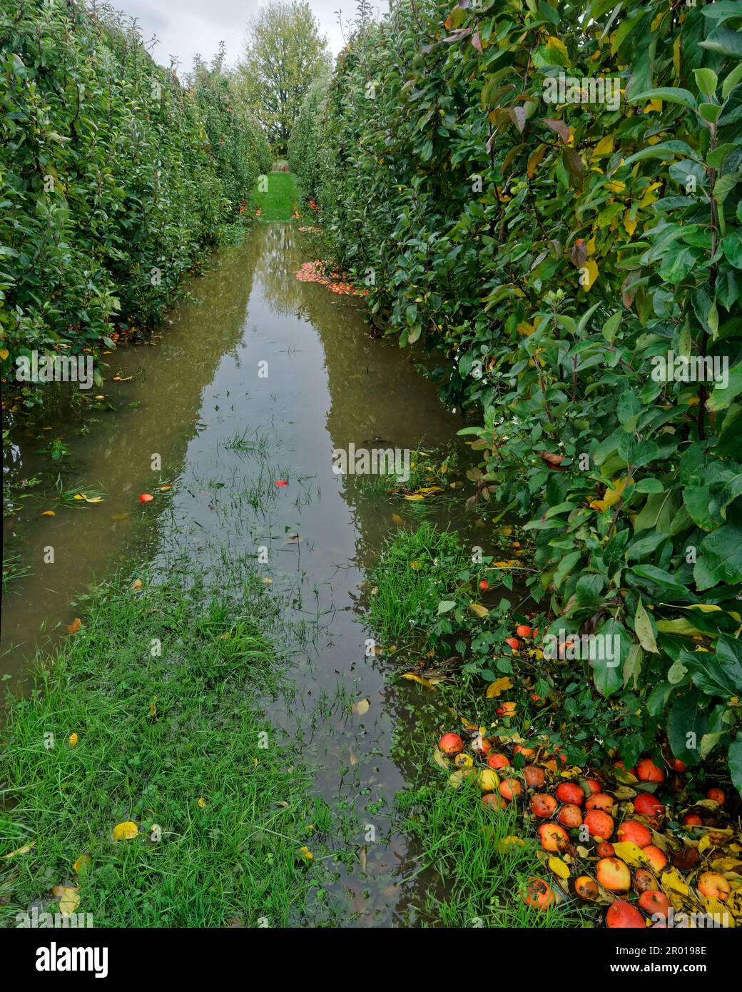 New zealand flooding 2023 hi-res stock photography and images - Alamy