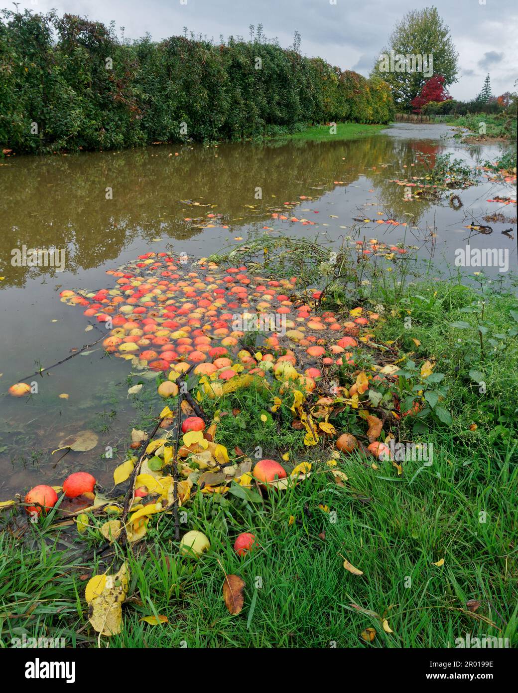 Motueka, Tasman Region / Aotearoa / New Zealand - May 6, 2023: Flooded ...