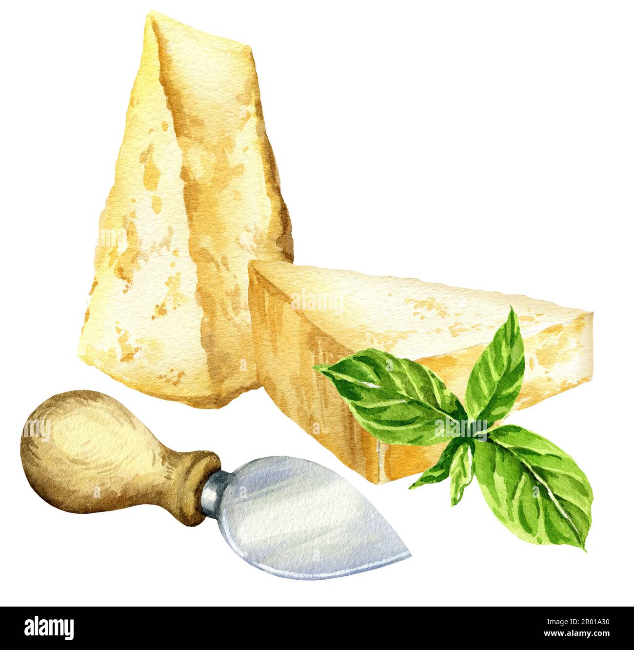 watercolor parmesan cheese pieces with cheese knife and basil, hand ...