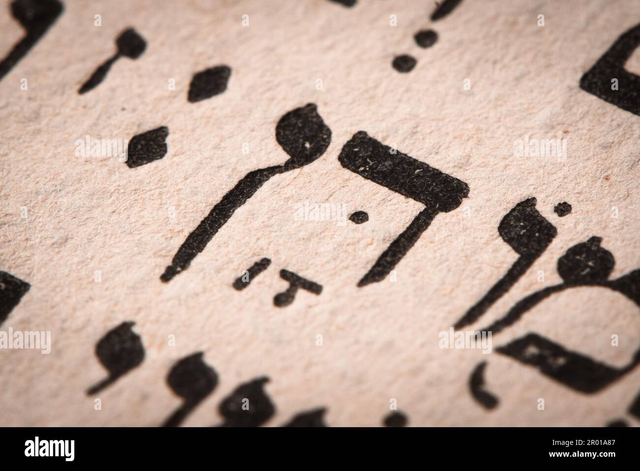 Hebrew word in Torah page. English translation is name Dan, the founder ...