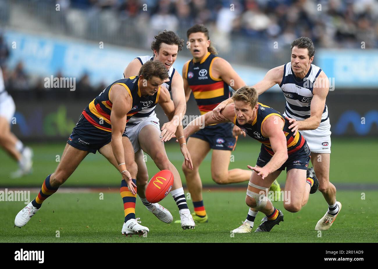 Matt Crouch (left) and Rory Sloane (fourth from left) of the Crows and ...