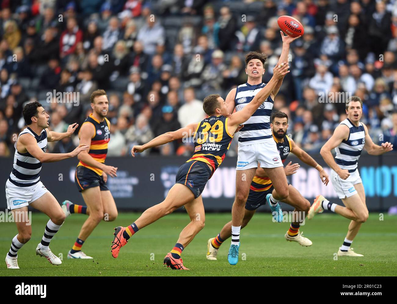 Ollie Henry of the Cats (fourth from left) and Rory Laird of the Crows ...