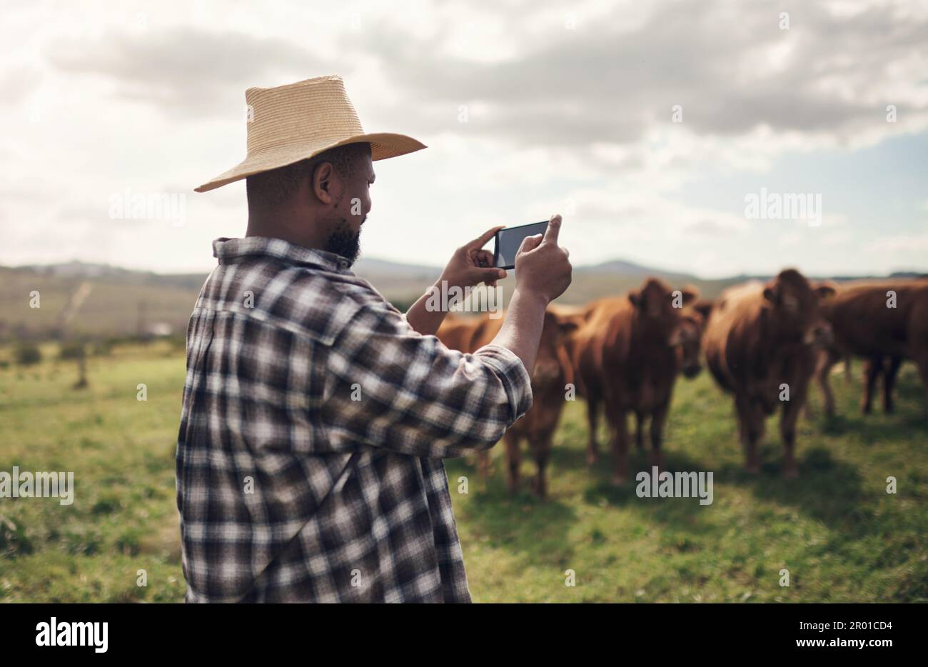 Lights, camera, action. a man using a smartphone to take pictures of ...