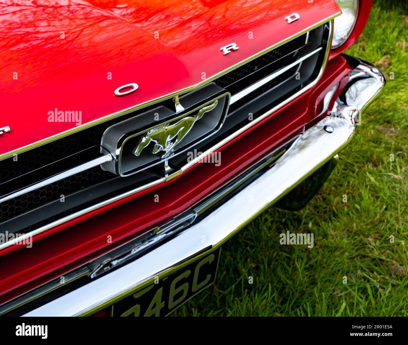 Earsham, Norfolk, UK – April 30 2023. The grille and horse badge of a ...