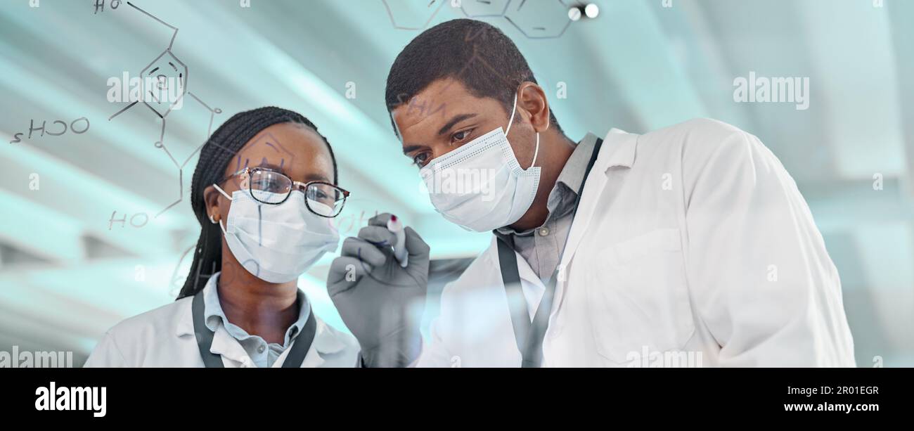 Determined to obtain the right results. two scientists drawing ...