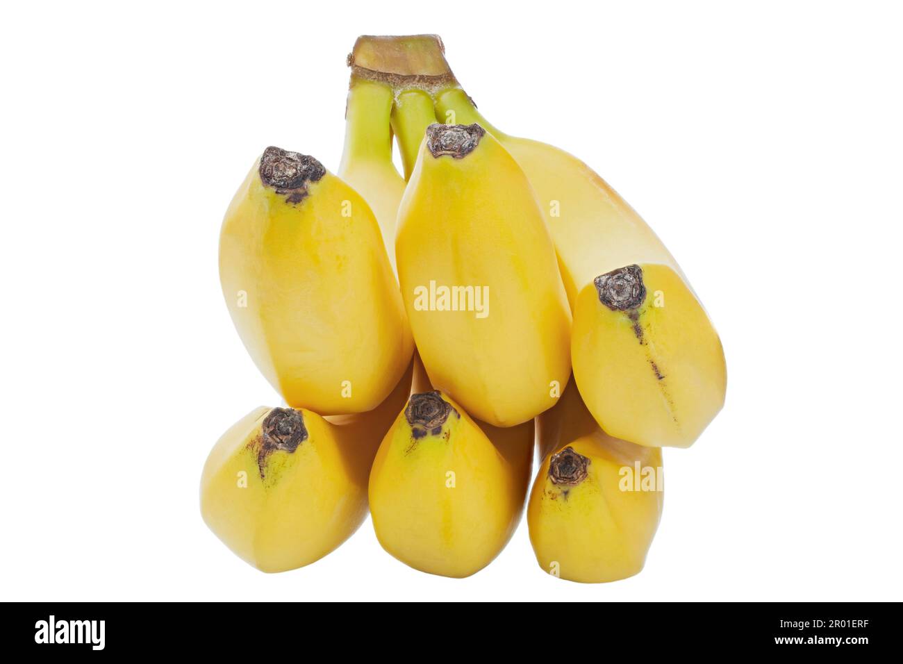 Branch of ripe banana isolated on white background. File contains ...