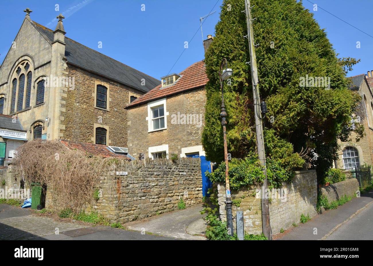 Black swan arts frome hi-res stock photography and images - Alamy