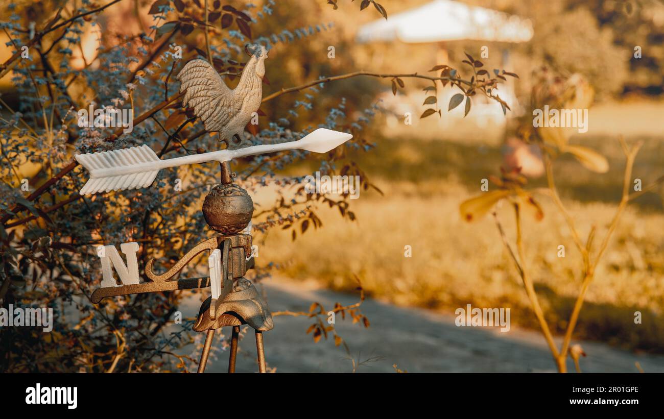 Closeup rooster wind direction hi-res stock photography and images - Alamy
