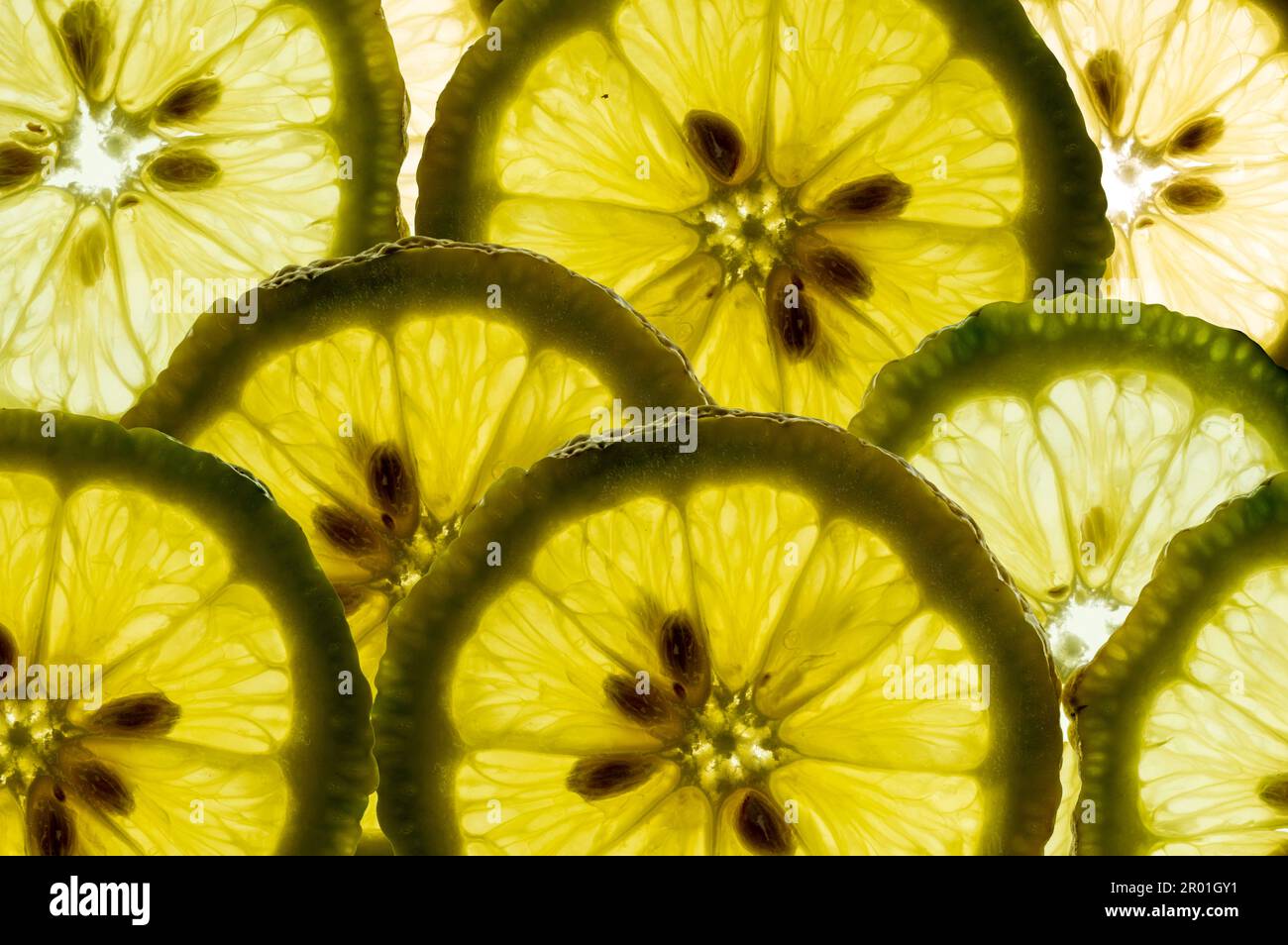 Microscopic view of wild lemon pieces forming a beautiful texture ...