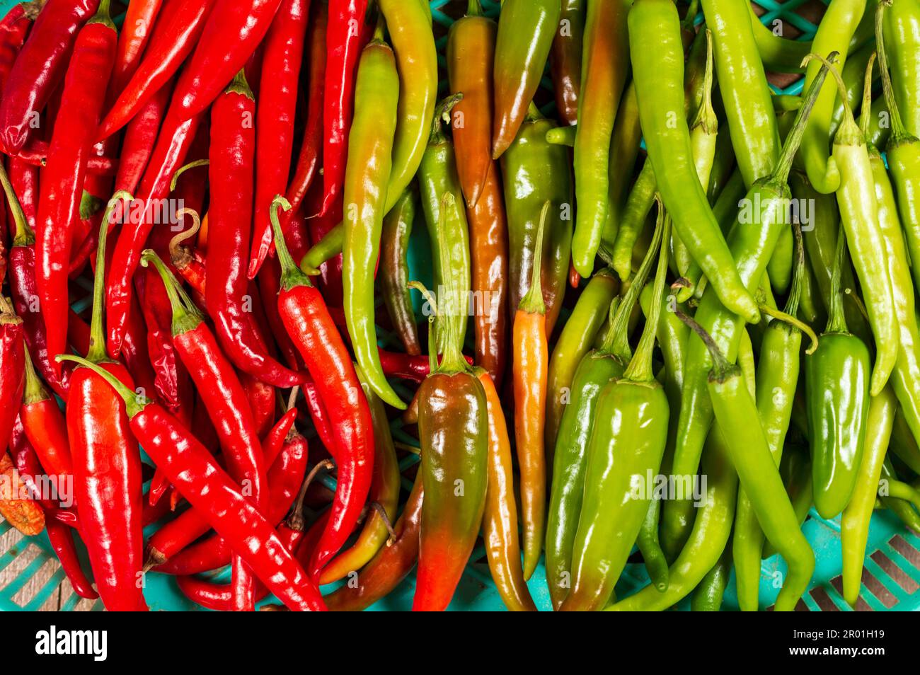 Chilli peppers are widely used in many cuisines as spice to add heat to ...