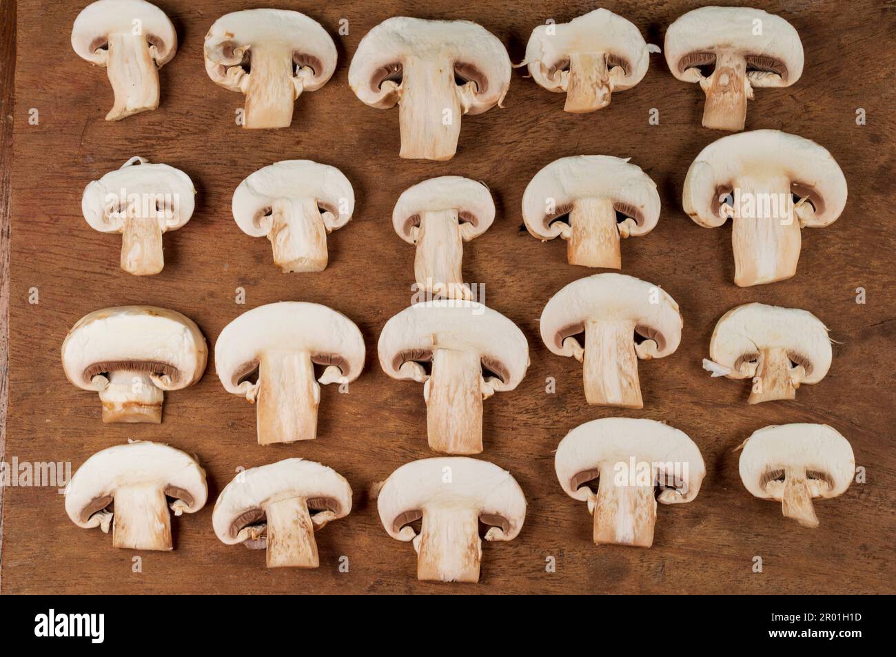 Button mushroom is gilled fungus which is the popular mushroom variety ...