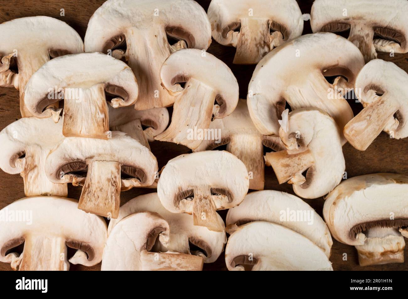 Button mushroom is gilled fungus which is the popular mushroom variety ...