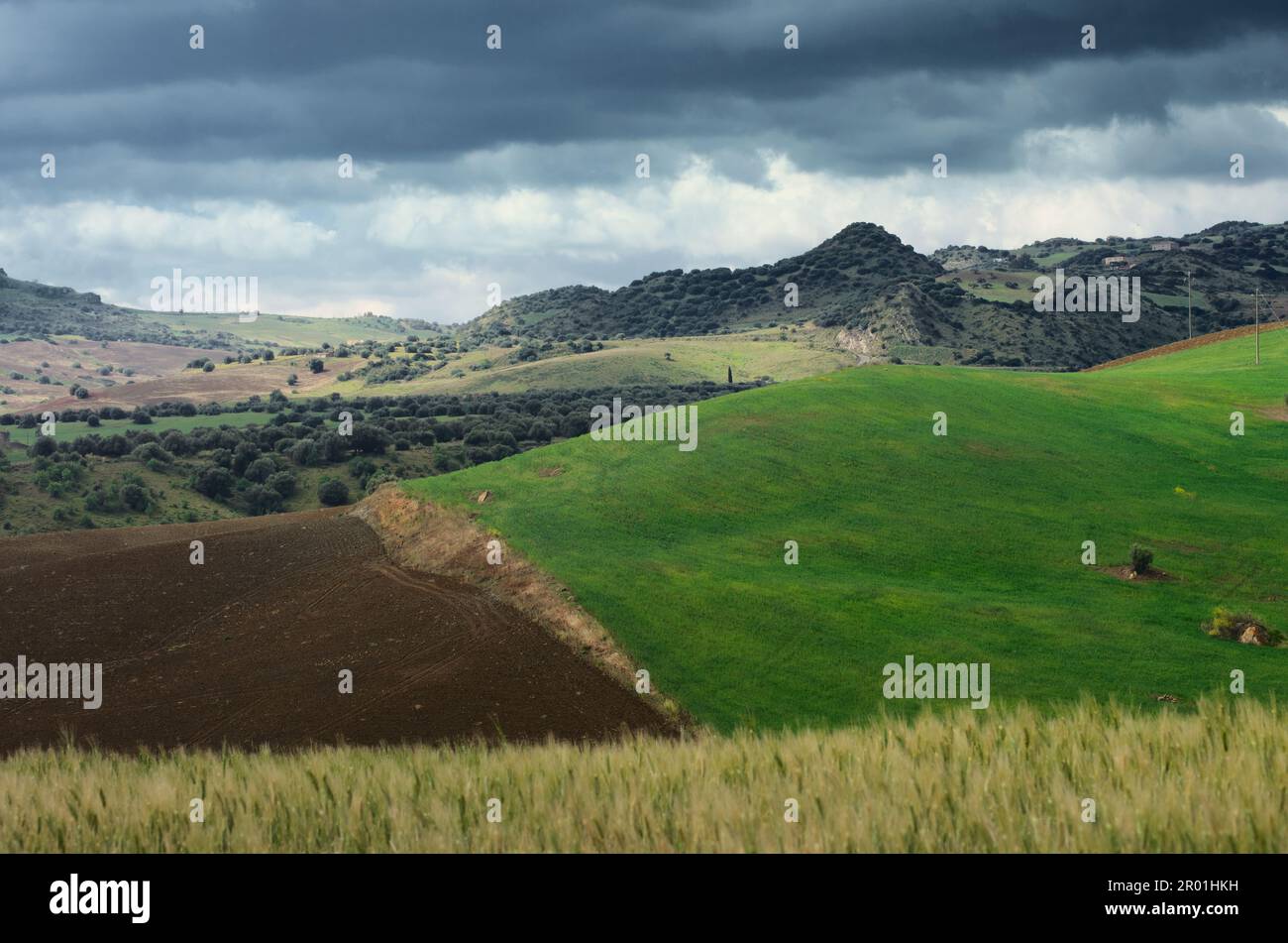 Spring farm scene hi-res stock photography and images - Alamy