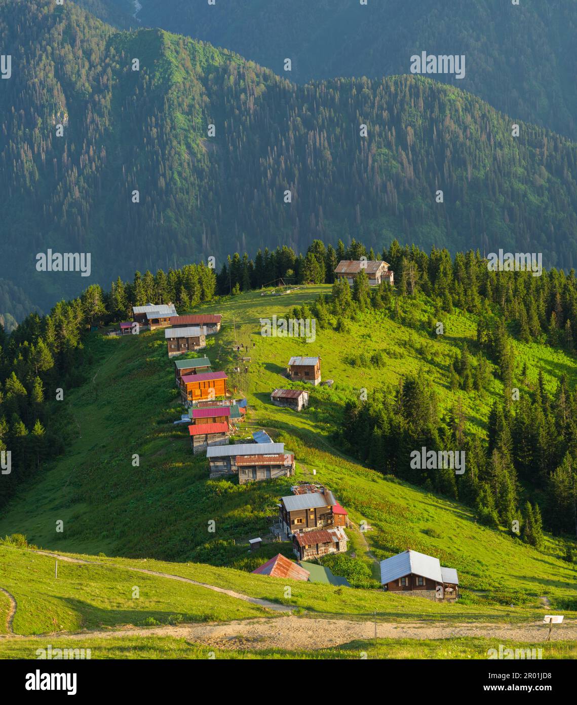 Pokut Plateau in summer. Beautiful view of the Pokut highland with the ...