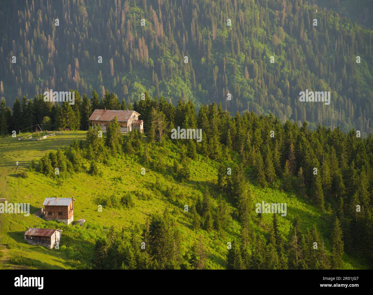 Pokut Plateau in summer. Beautiful view of the Pokut highland with the ...