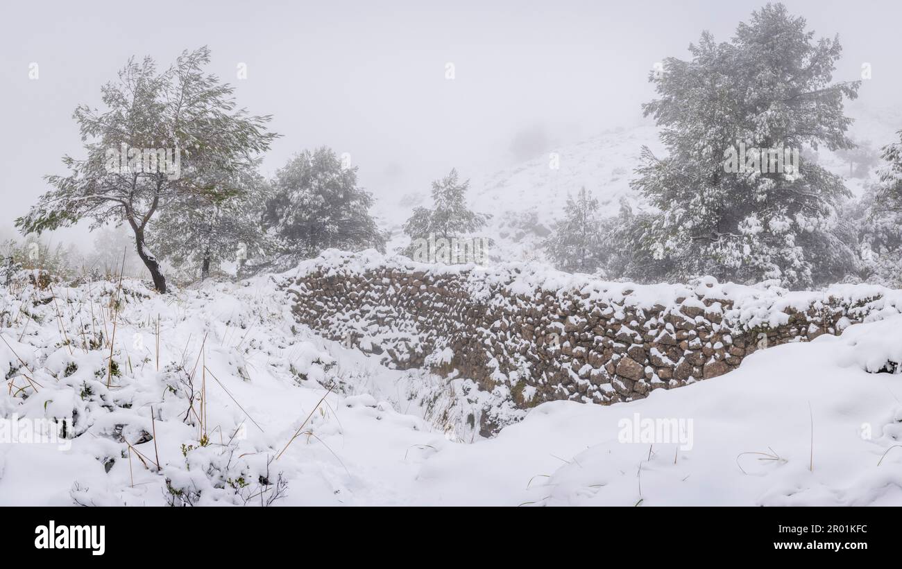 traditional fridge from Tossals Verds, Escorca, Majorca, Balearic ...