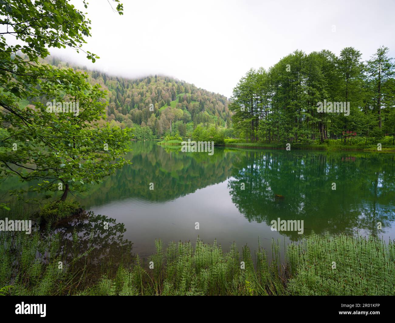 Borcka Karagol ( Karagöl) nature park. Turkey's most popular travel ...
