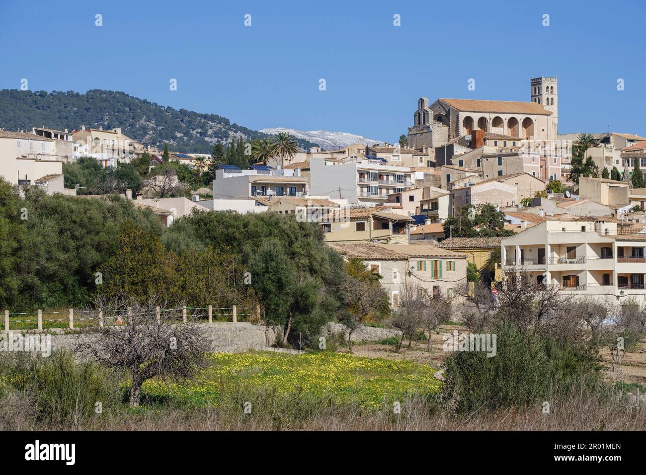 Selva tramuntana majorca balearic hi-res stock photography and images ...