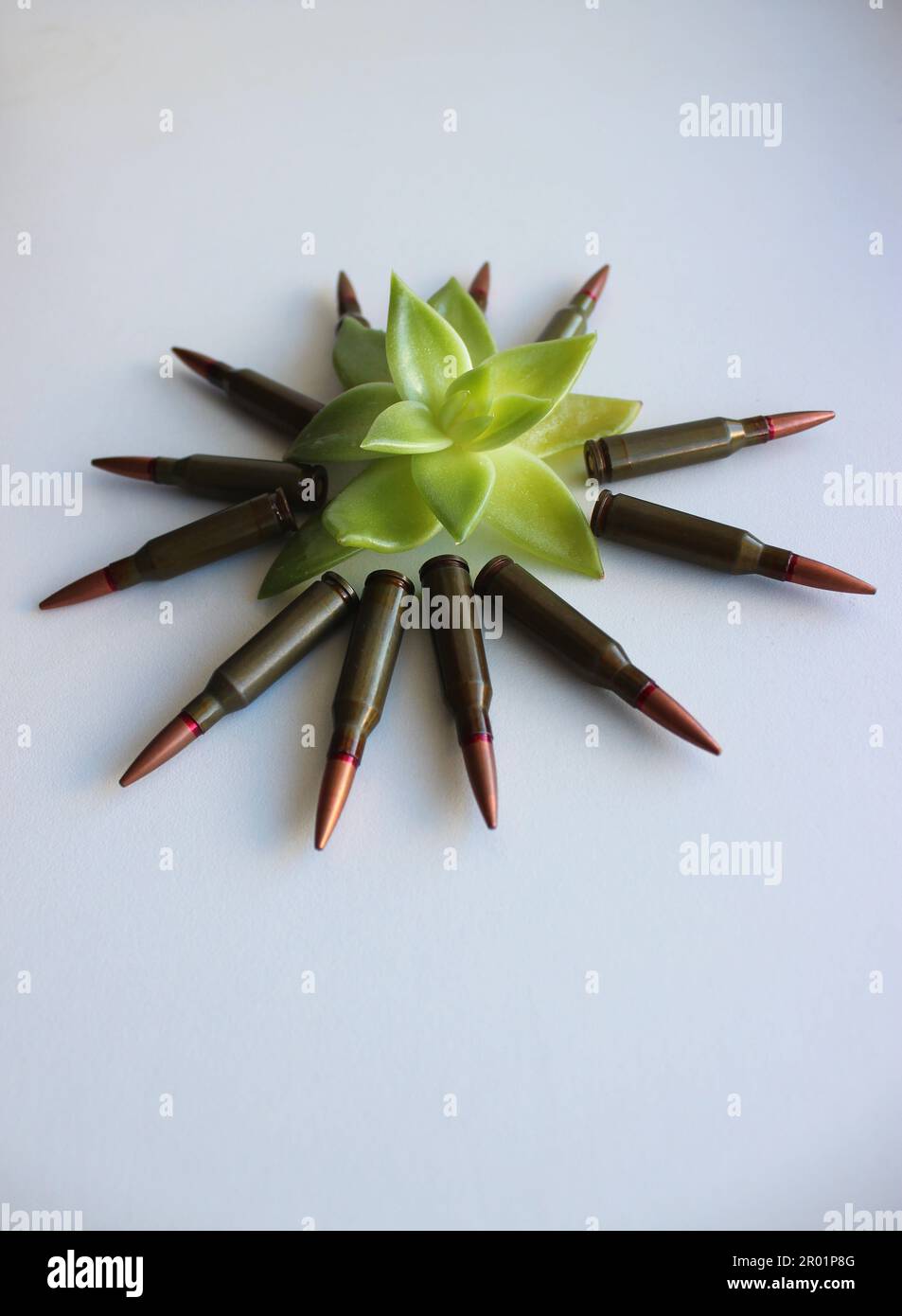 Bullets Around Green Plant Branch In A Shape Of Flower Stock Photo - Alamy