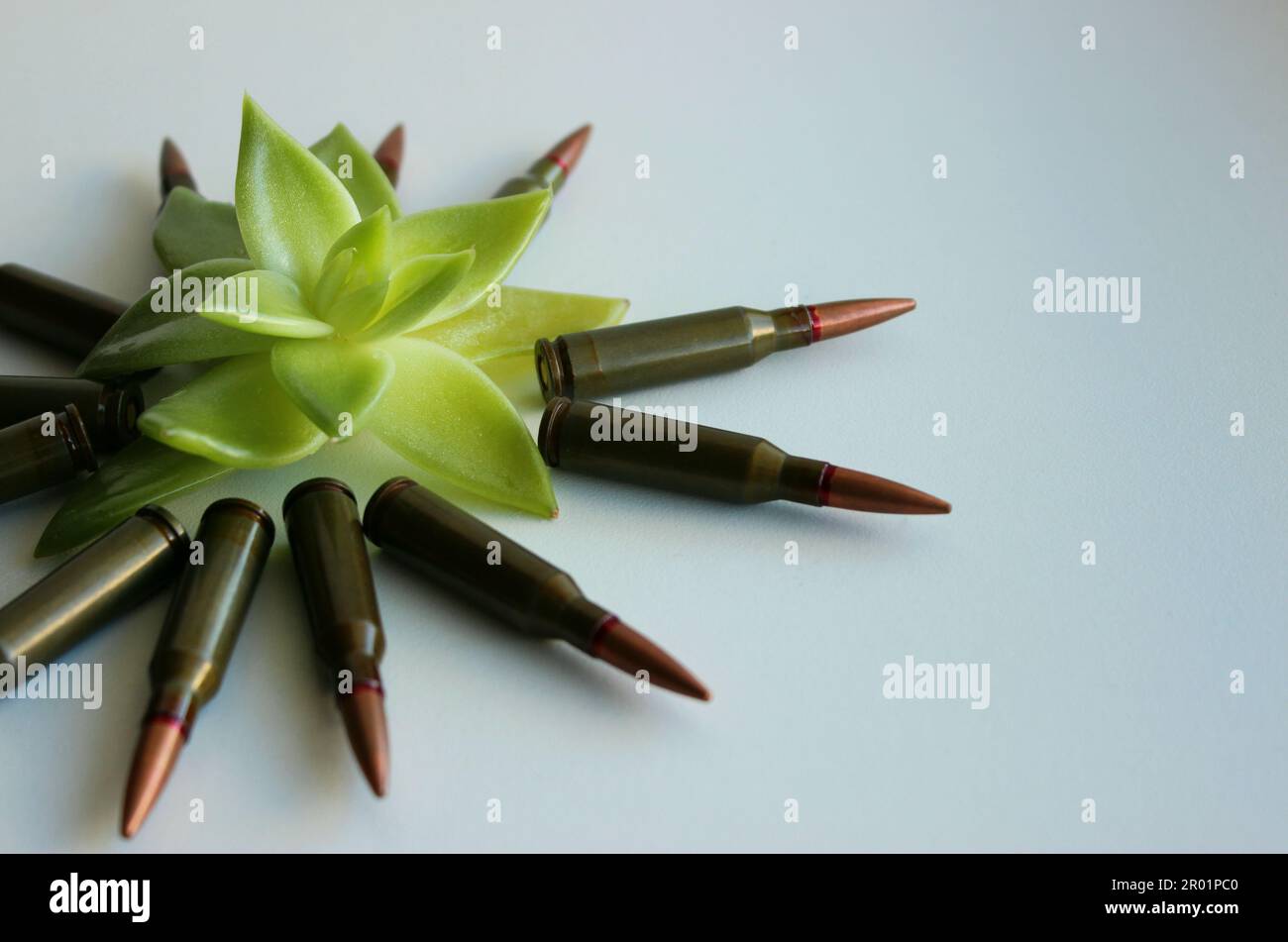 Bullets under the leaves of a green shoot symbolizing the victory of ...
