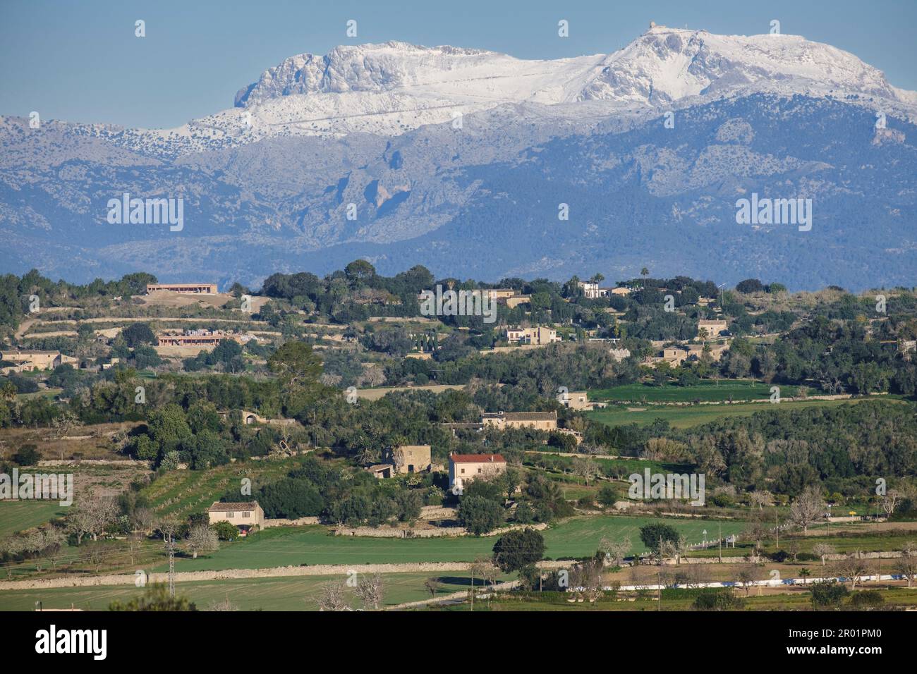 Snow-capped Puig Major seen from the cultivated fields of Montuiri ...