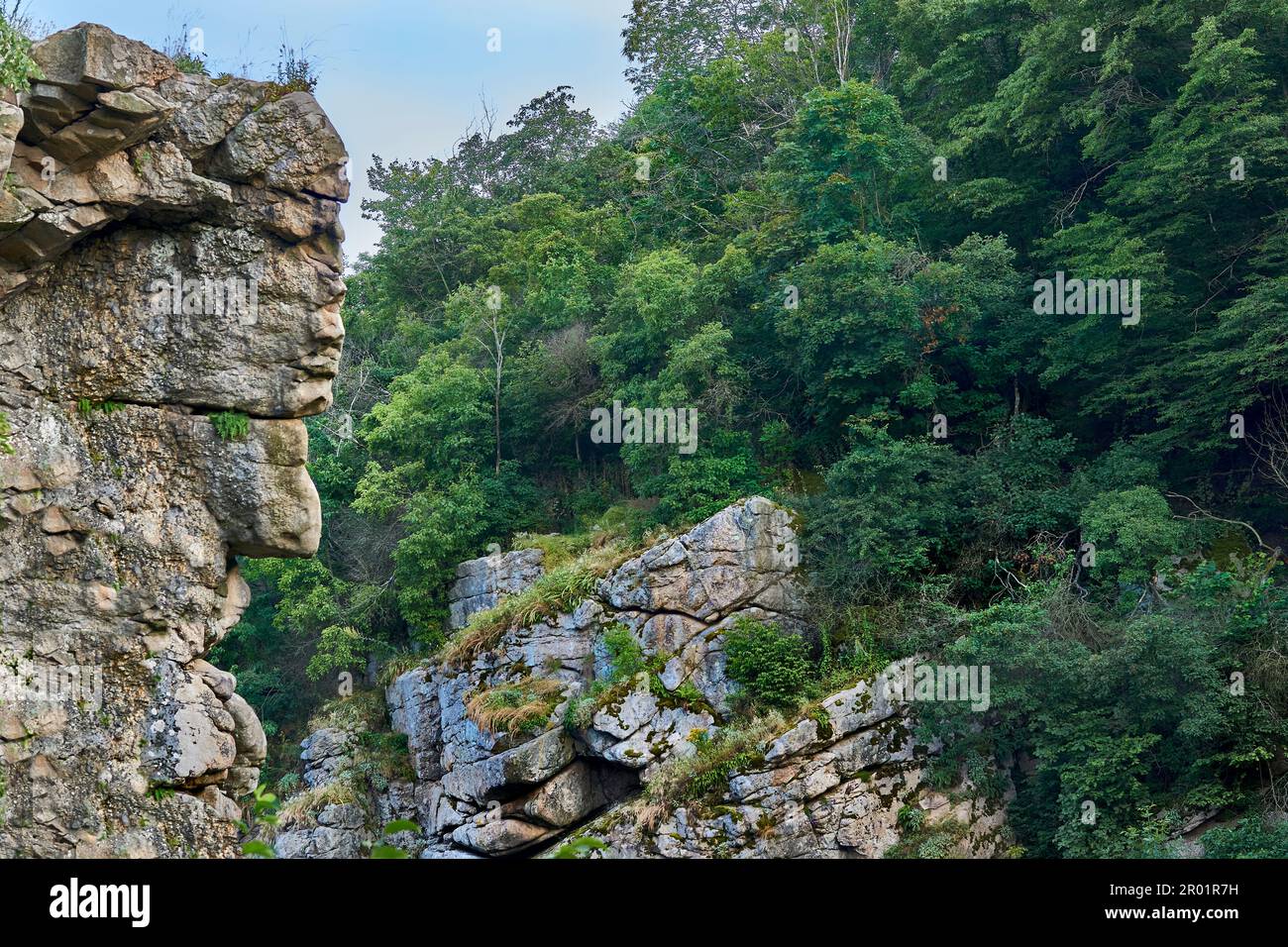 Stone cliff similar to a human face among rocks and green forest Stock ...