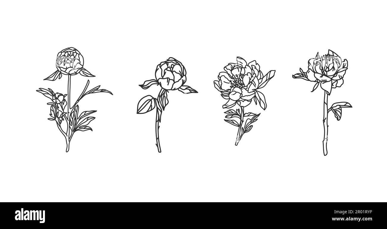 Hand drawn vector abstract graphic illustration set with elements of ...