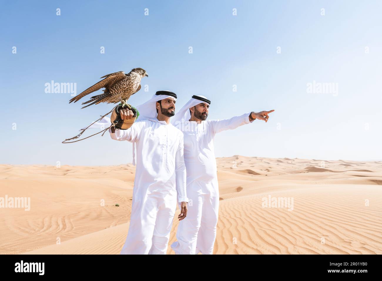 Falconer and desert and saudi hi-res stock photography and images - Alamy