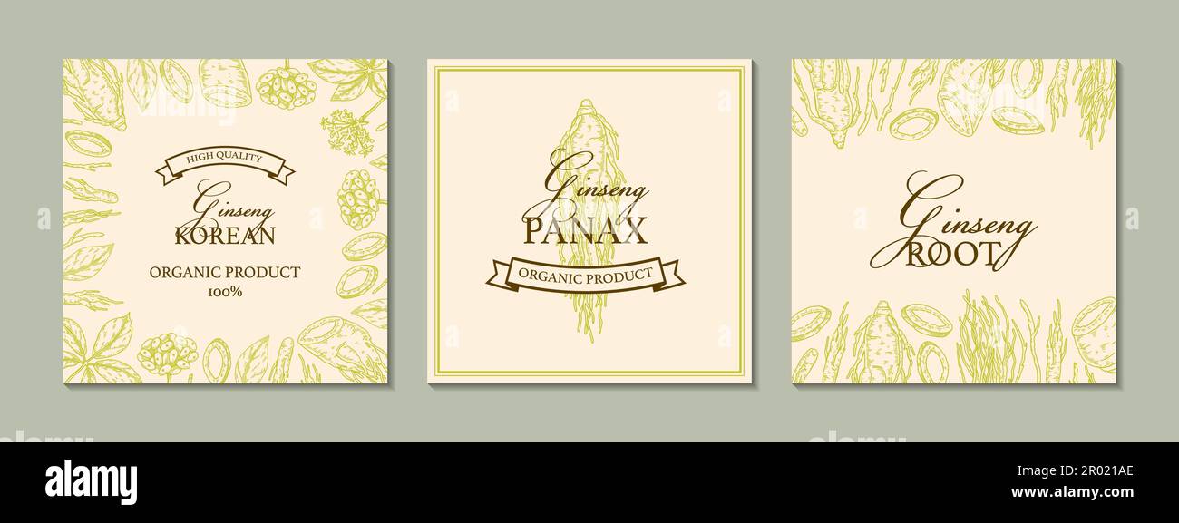 Ginseng design. Hand drawn botanical vector illustration in sketch ...