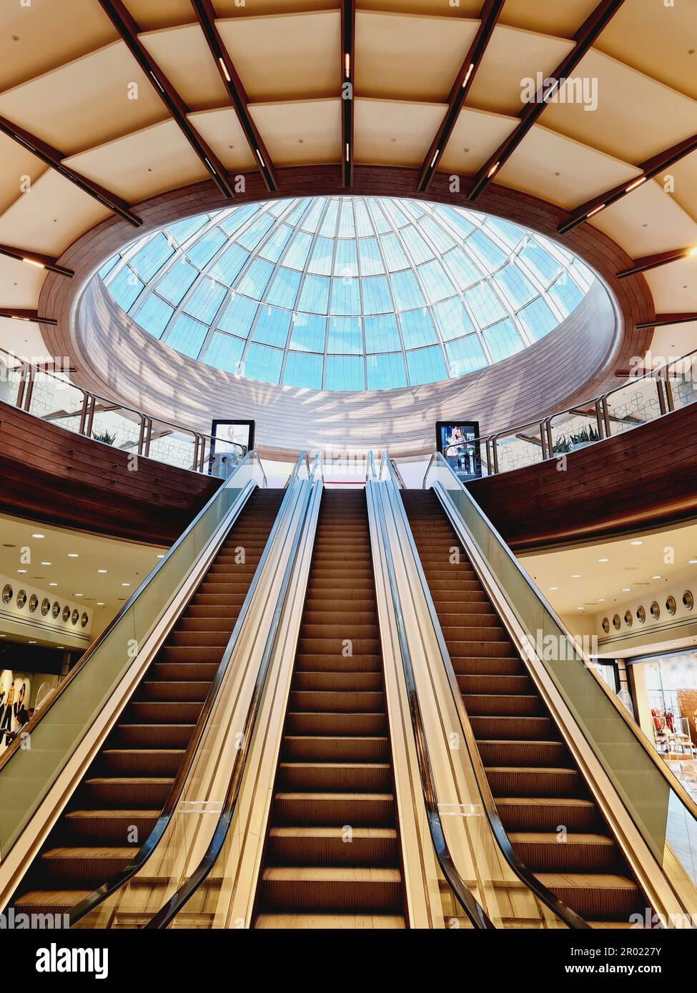 An interior shot of imposing and futuristic escalators with a glass ...