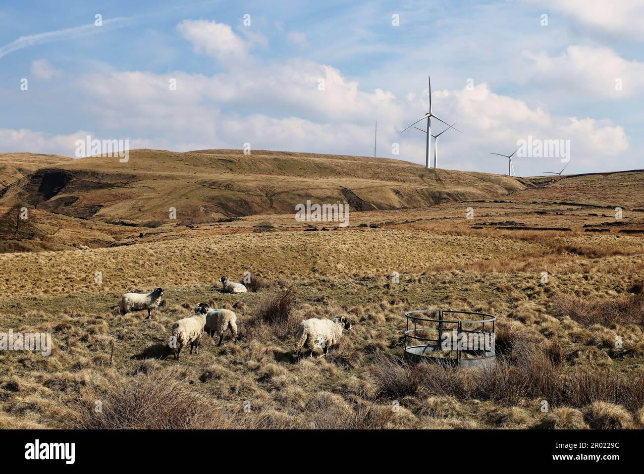 Scout Moor Windfarm, Lancashire Stock Photo - Alamy