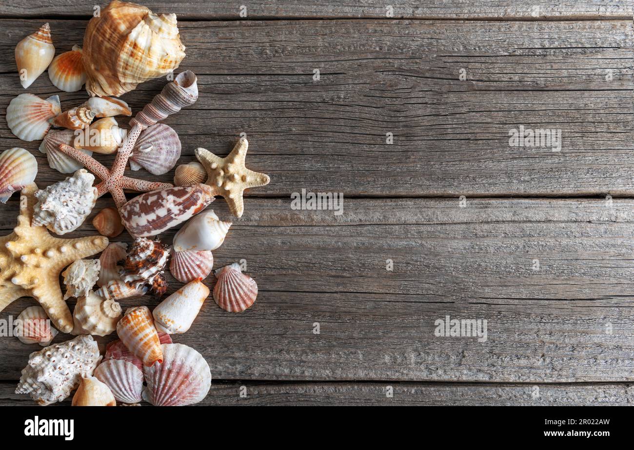 Seashell starfish on old hi-res stock photography and images - Alamy